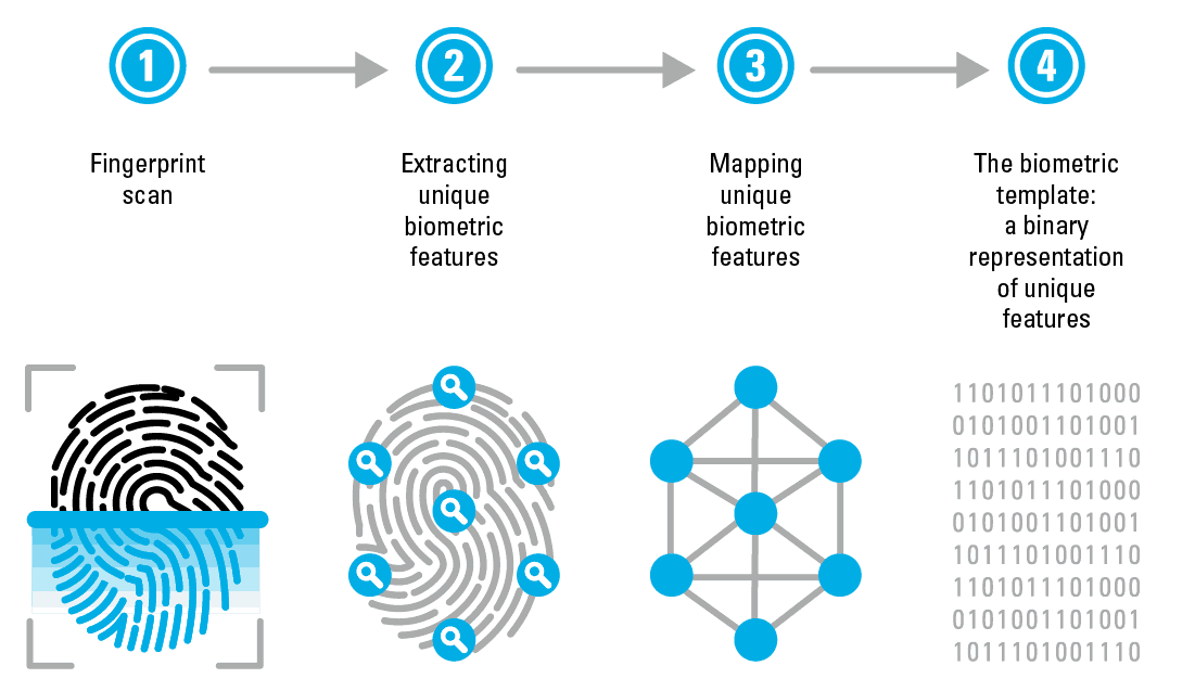 Biometrics: Retail's Best Kept Secret